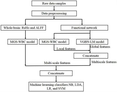 Frontiers | Diagnosis of Amnesic Mild Cognitive Impairment Using MGS-WBC and VGBN-LM Algorithms